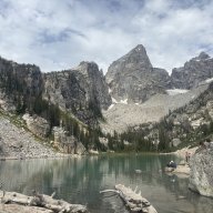 Business - Analysis - Game Dev - Nintendo Investors Are Reportedly ...